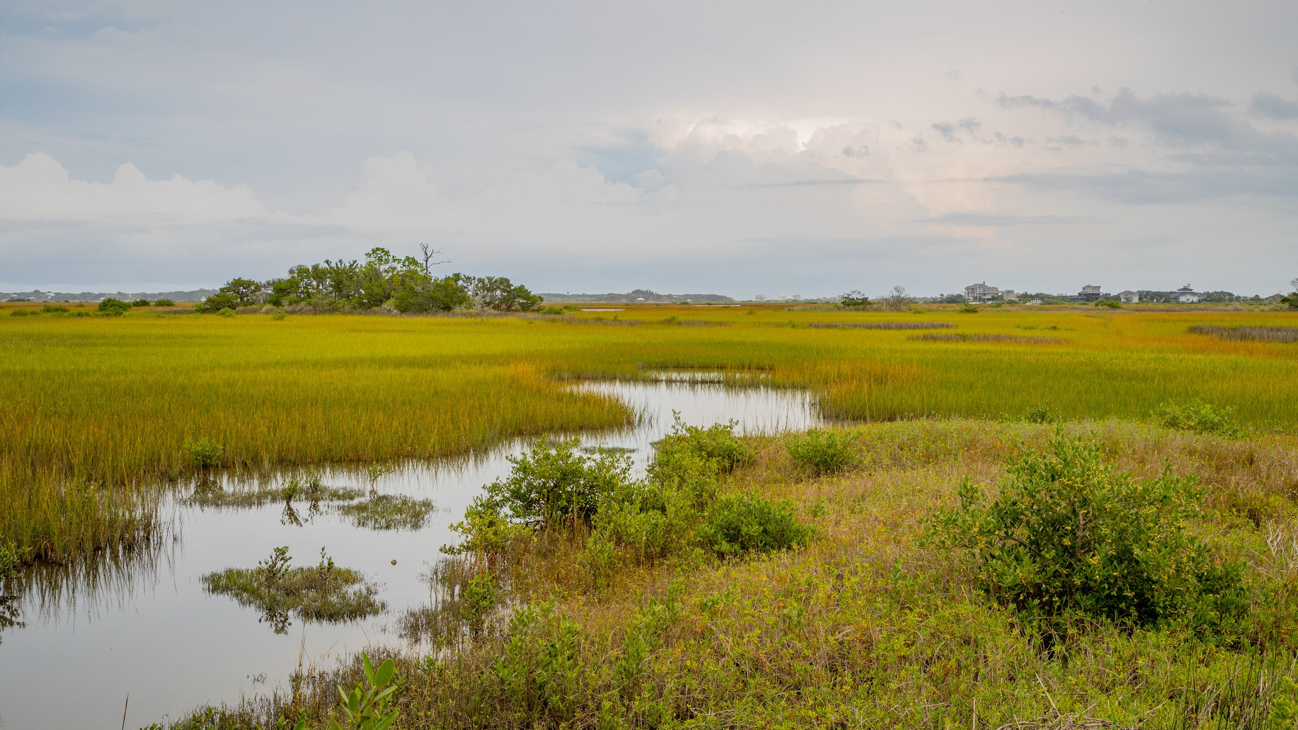 Wetland Reclamation in Africa. Preserving Wetlands in Uganda